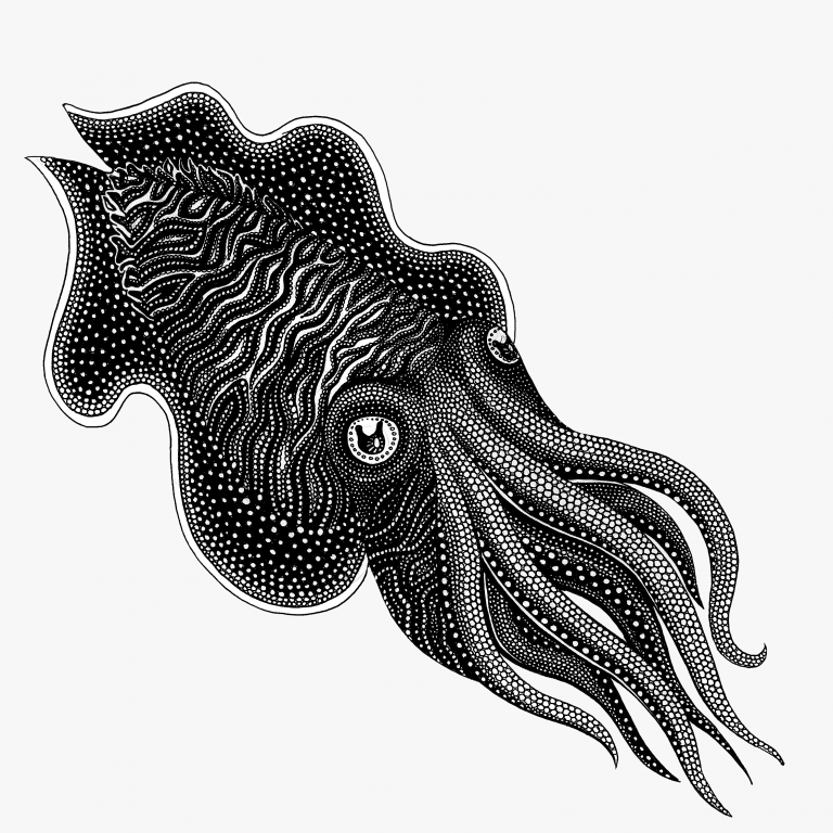 Small original drawings – Jessica Eggers Illustration