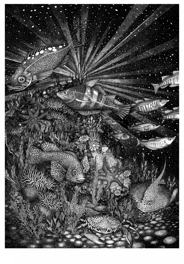 Drawings – Jessica Eggers